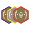 Badge Placement | 21st Romsey Scout Group